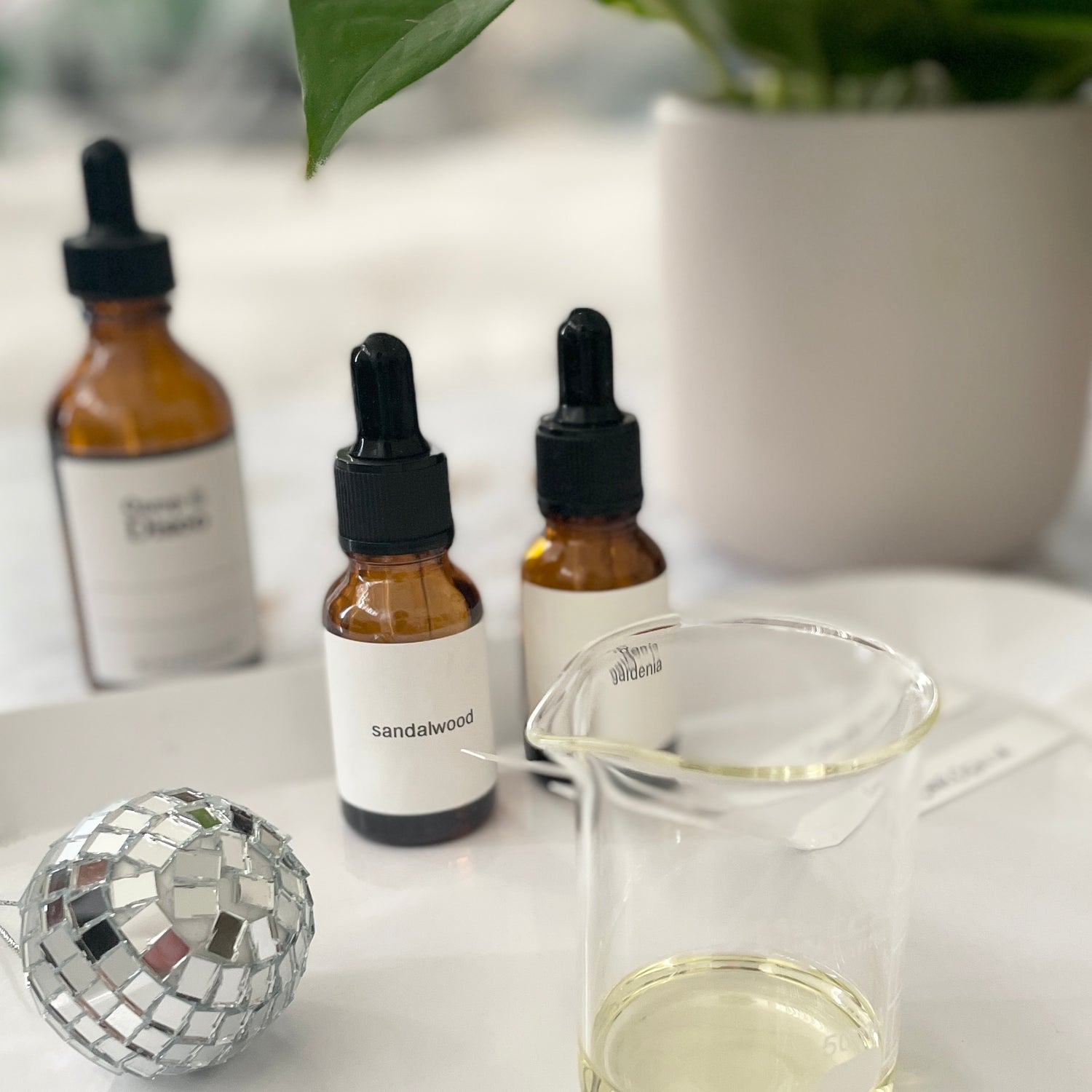 Perfume workshops in LA – Camp Disco